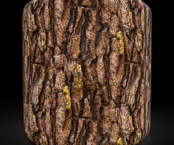 ArtStation - Wood Bark Texture 4K Vol 2 | Resources