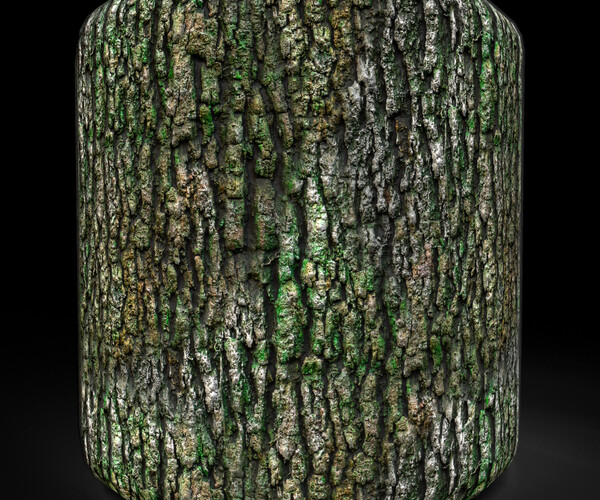 ArtStation - Wood Bark Texture 4K Vol 2 | Resources