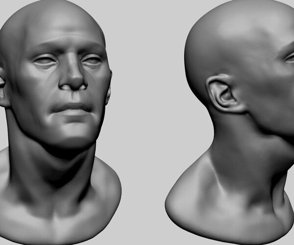 ArtStation - Base Male Head F | Resources