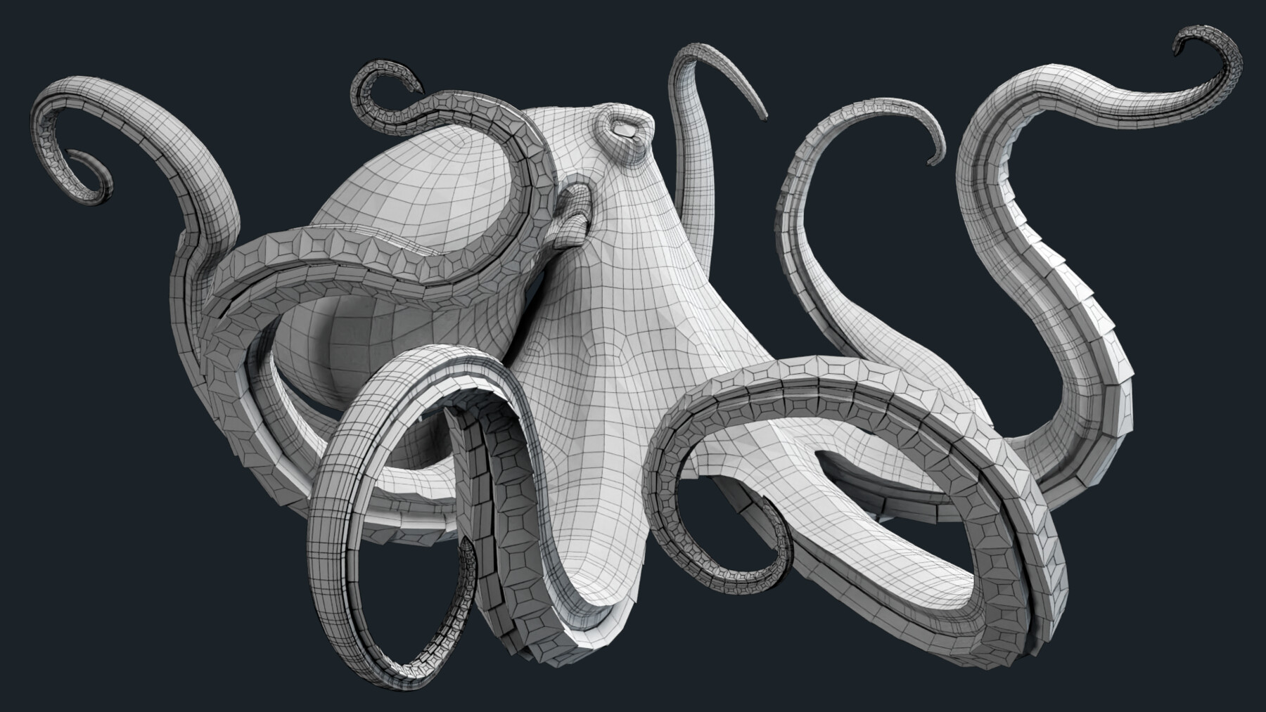 ArtStation - Octopus Base Mesh | Game Assets