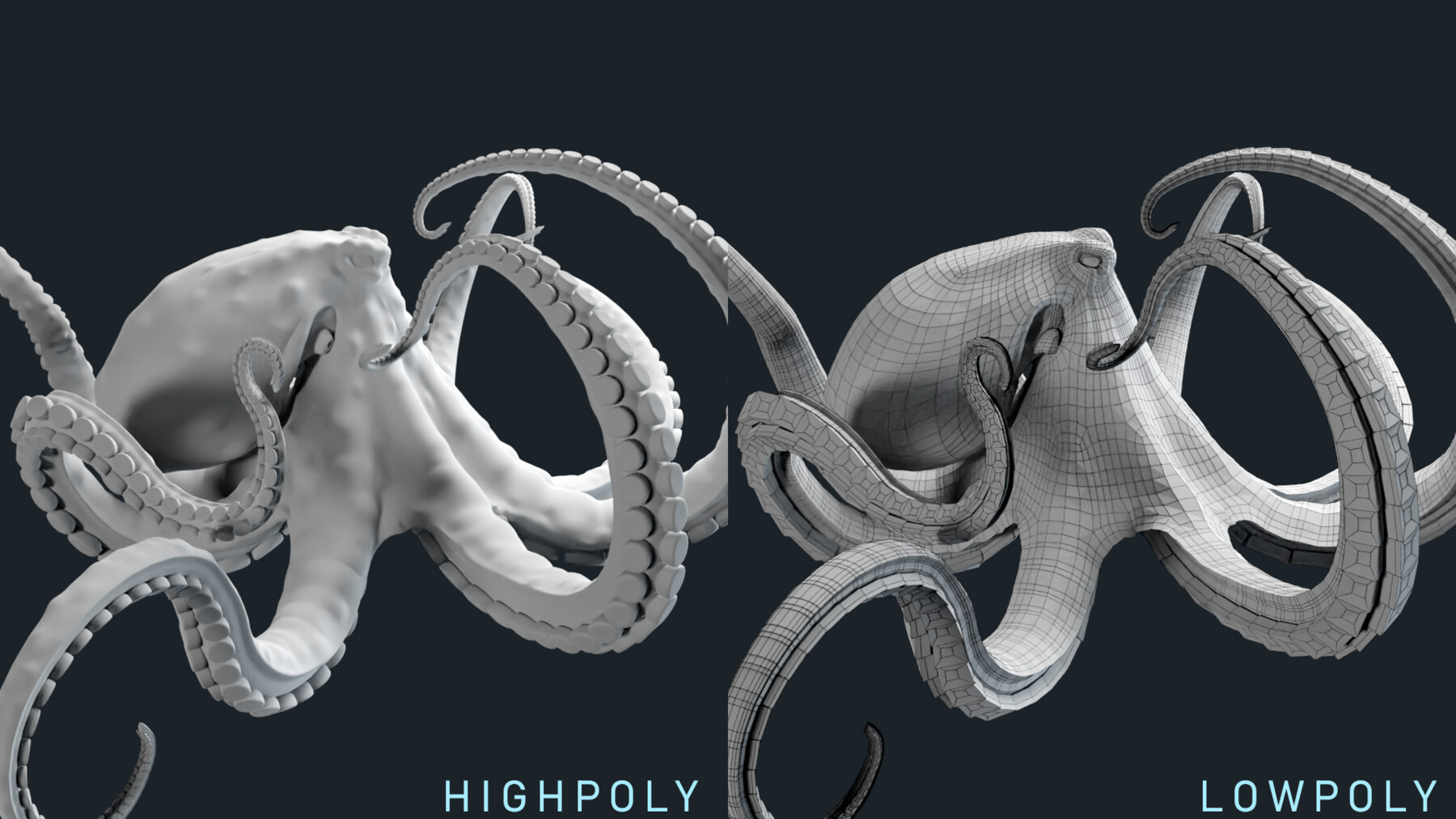ArtStation - Octopus Base Mesh | Game Assets