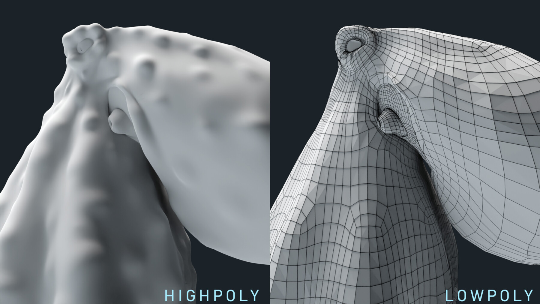 ArtStation - Octopus Base Mesh | Game Assets