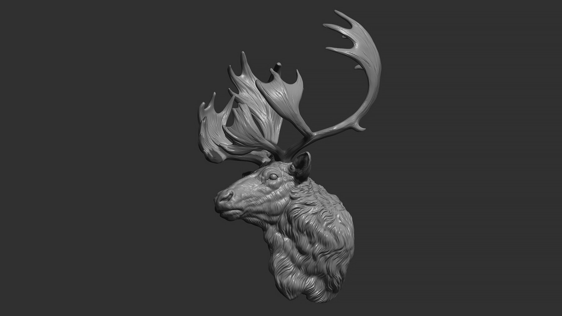 ArtStation - Reindeer head | Resources