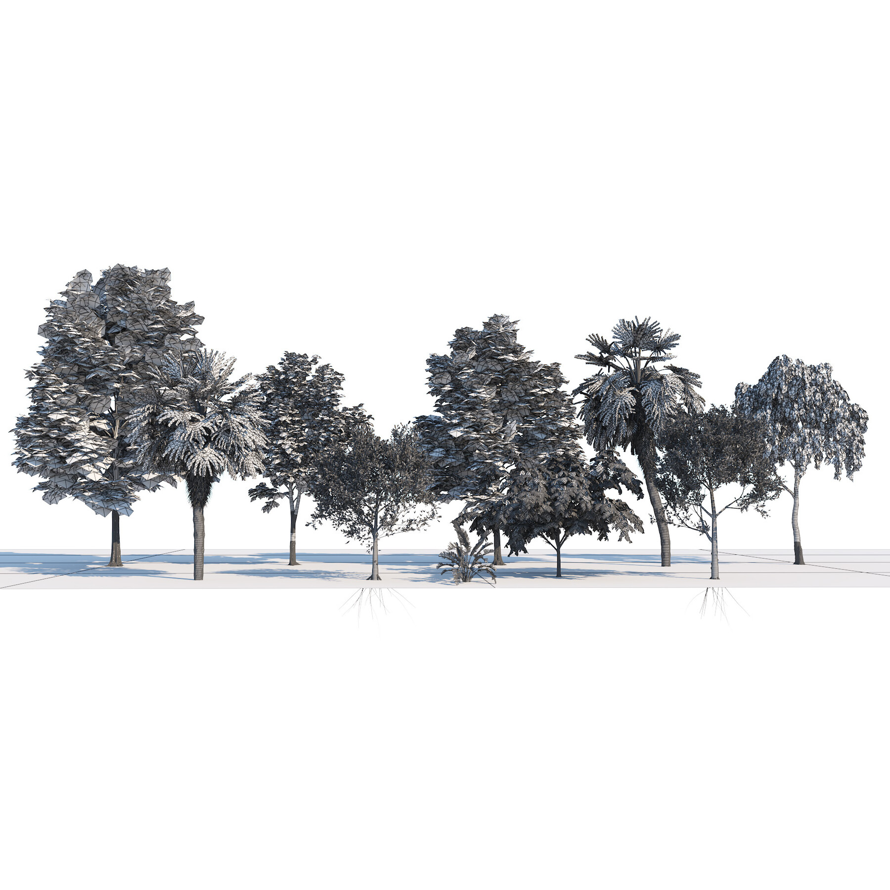 ArtStation - Park trees collection | Resources