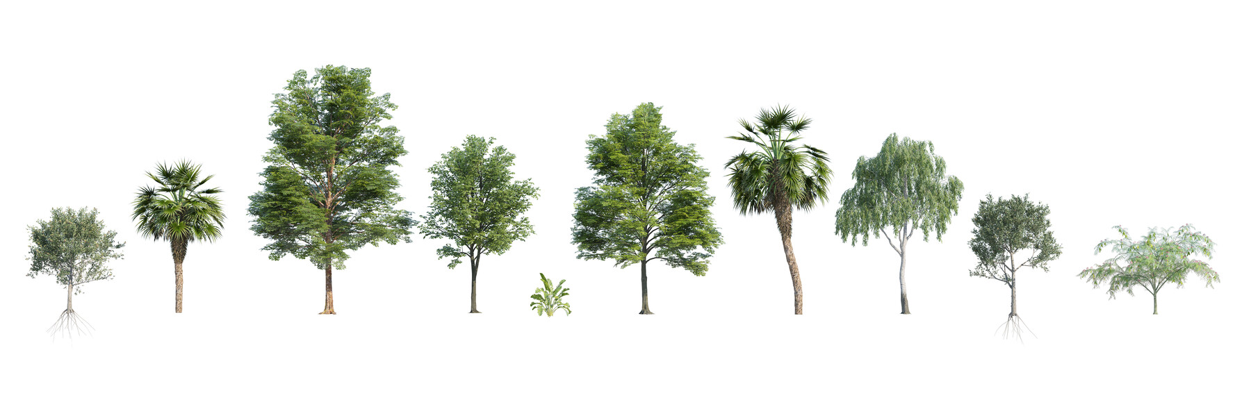 ArtStation - Park trees collection | Resources