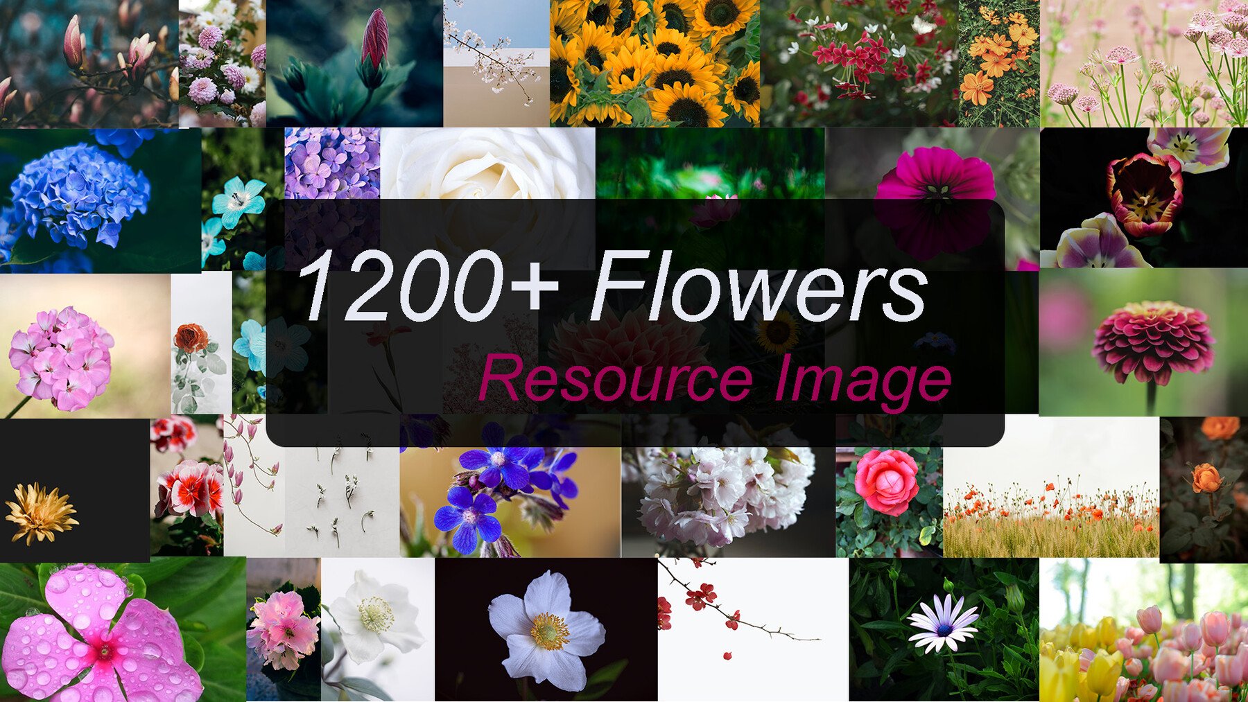 ArtStation - 1200+ flowers resource image | Resources
