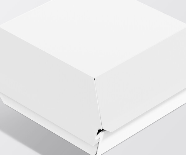 ArtStation - Burger Box & Wrapper Mockup | Resources