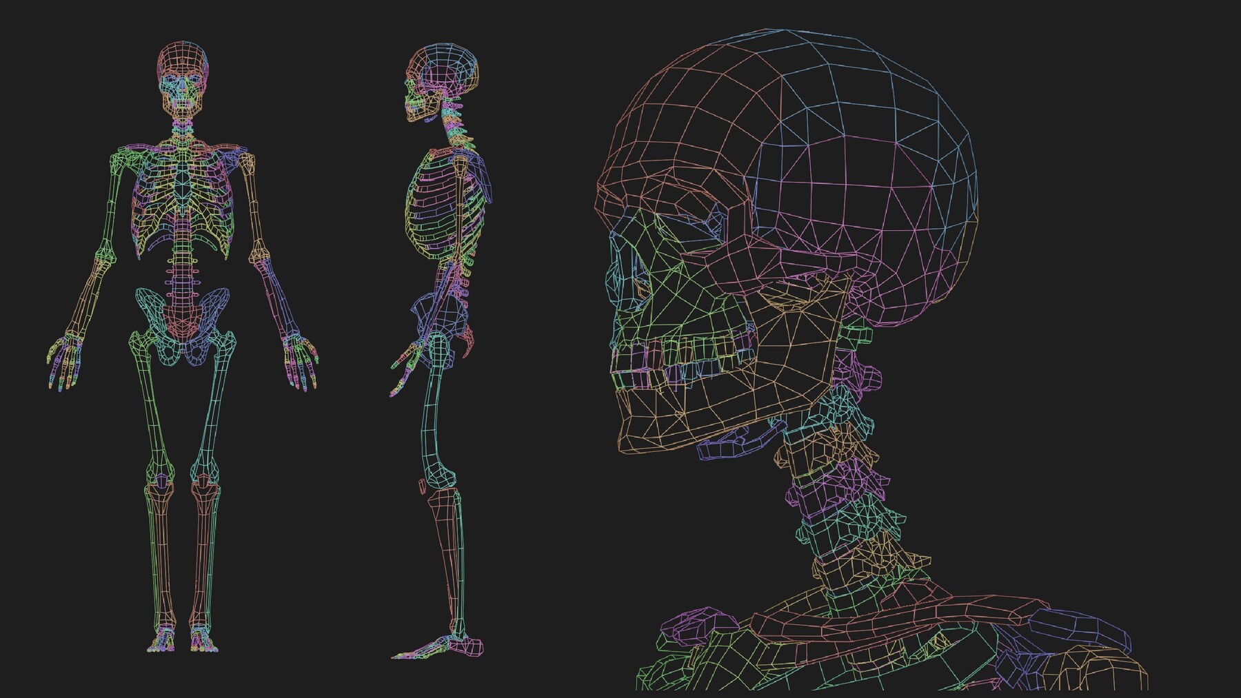 ArtStation - Low poly hand painted human Anatomy model | Resources