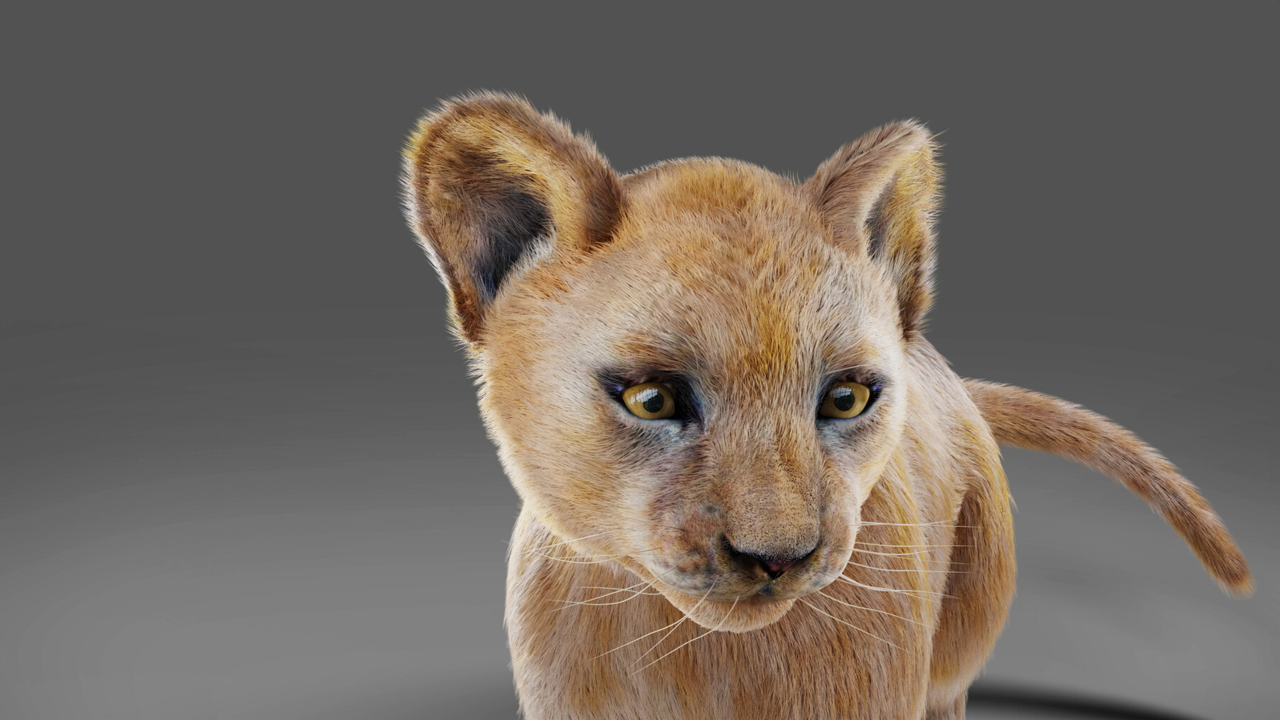 ArtStation - Fur Baby Lion Rigged and Animated in Unity | Game Assets