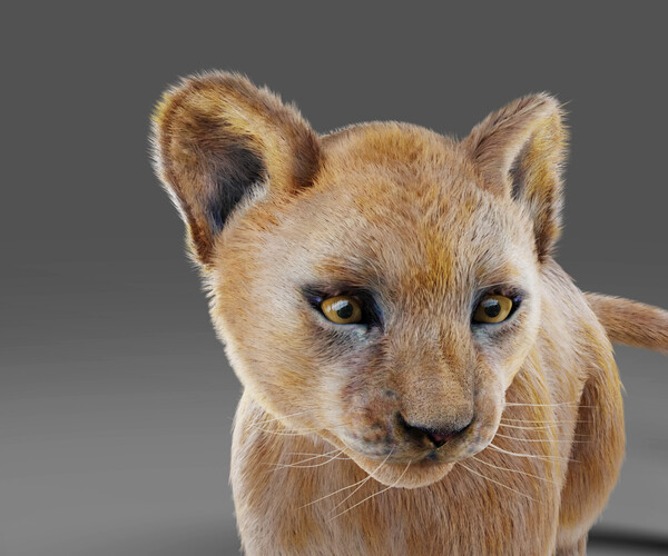 ArtStation - Fur Baby Lion Rigged and Animated in Unity | Game Assets