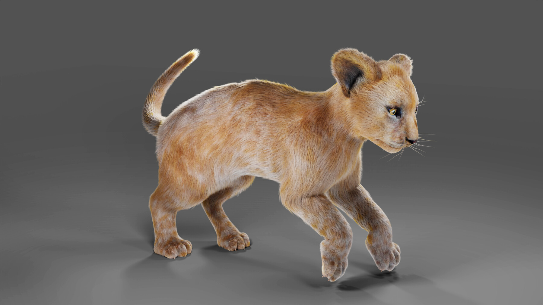ArtStation - Fur Baby Lion Rigged and Animated in Unity | Game Assets