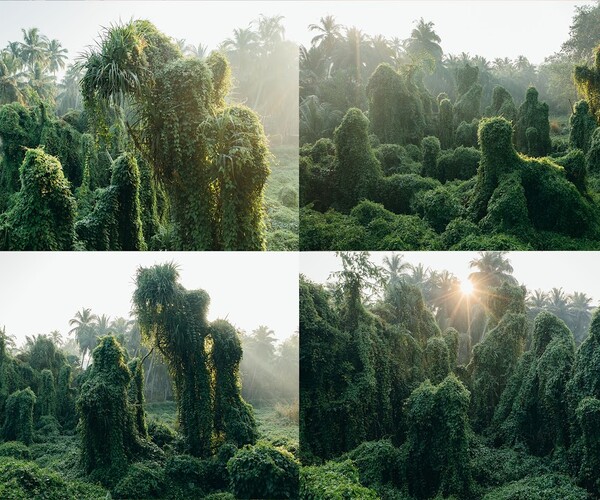 ArtStation - 440+ Epic Rainforest Reference Pictures | Resources