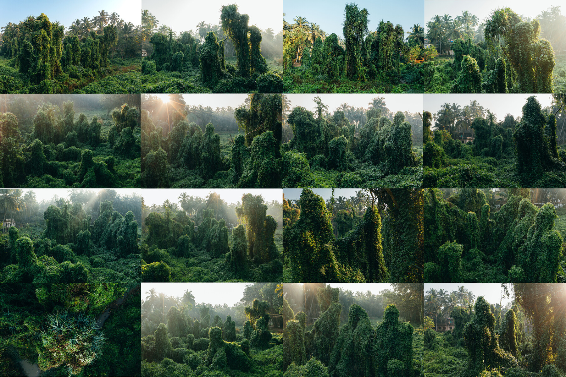 ArtStation - 440+ Epic Rainforest Reference Pictures | Resources