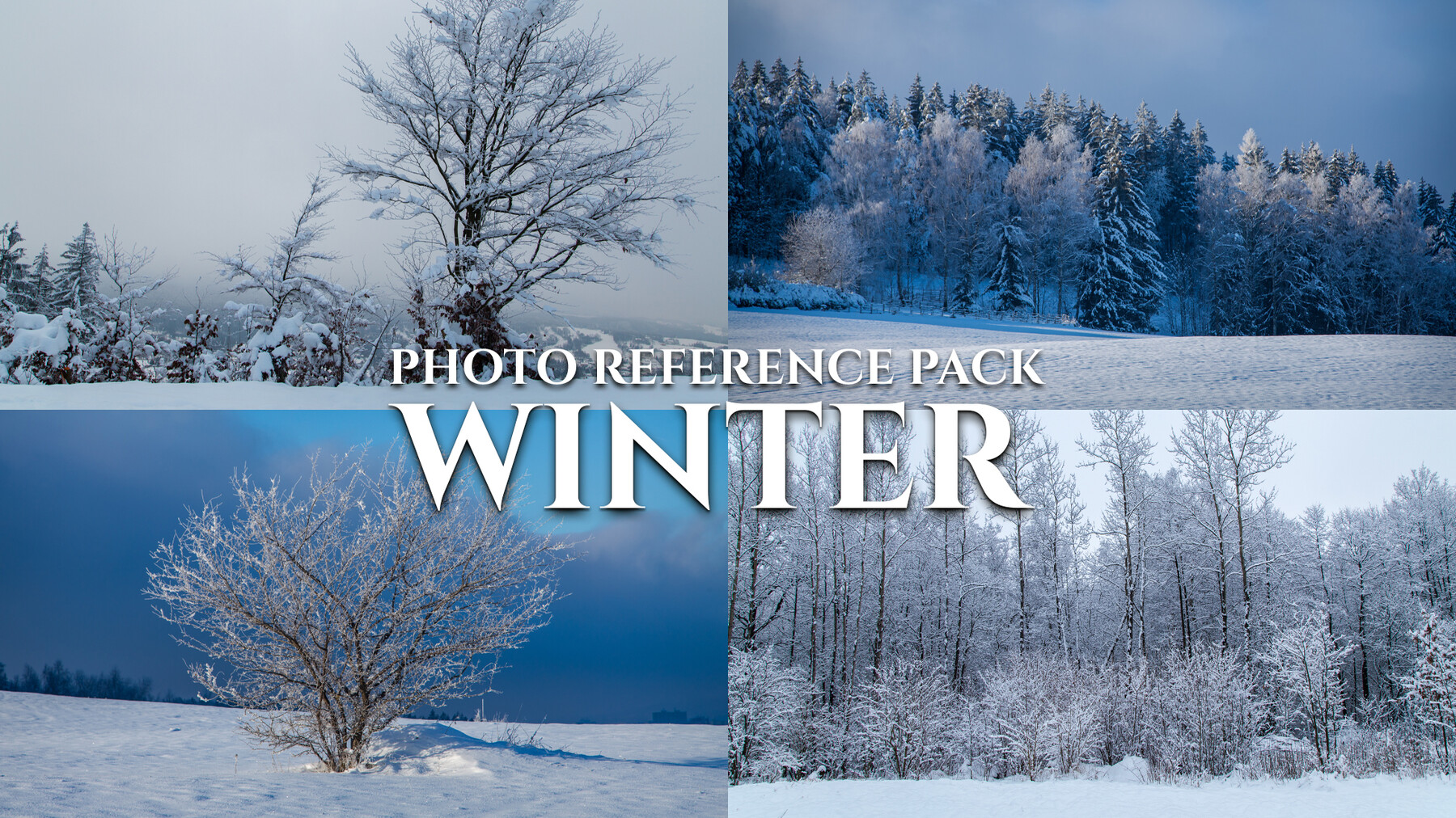 ArtStation - Winter - Reference Photo Pack For Artists 511 JPEGs noAI ...