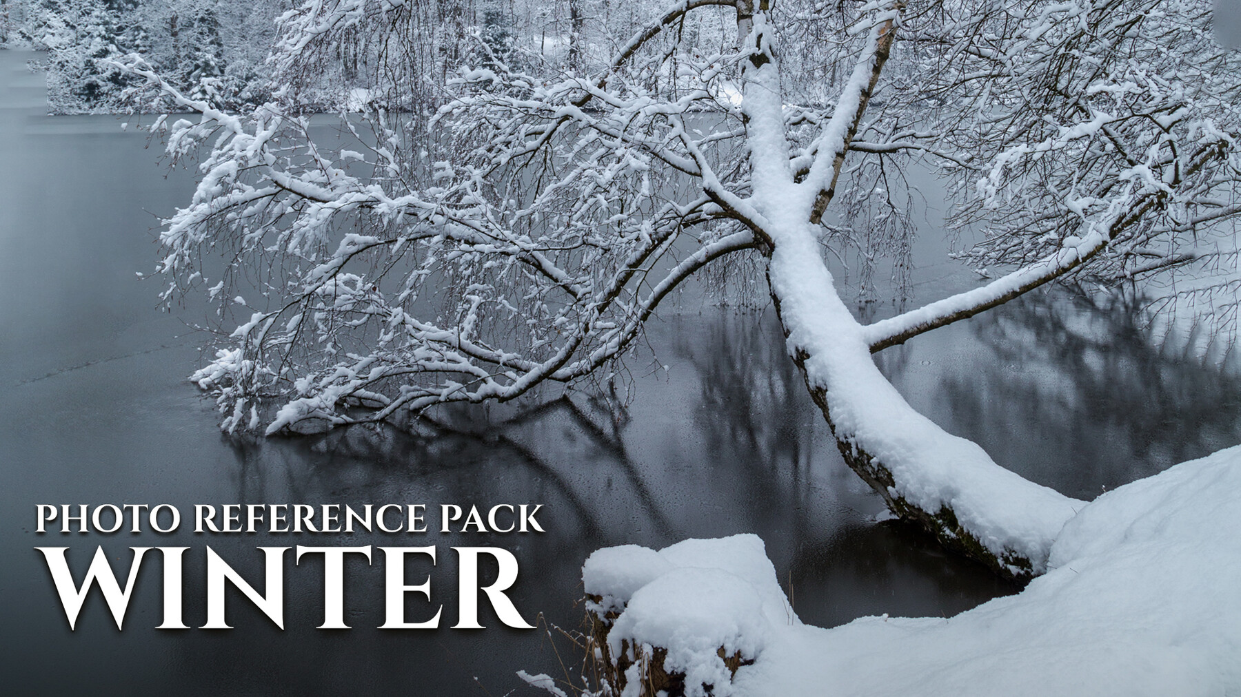 ArtStation - Winter - Reference Photo Pack For Artists 511 JPEGs noAI ...
