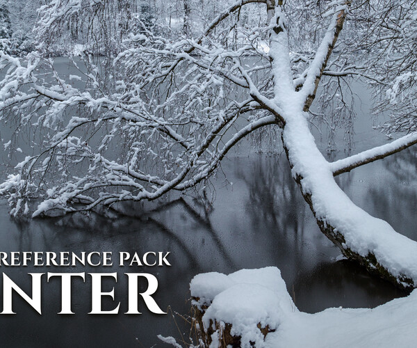 ArtStation - Winter - Reference Photo Pack For Artists 511 JPEGs noAI ...
