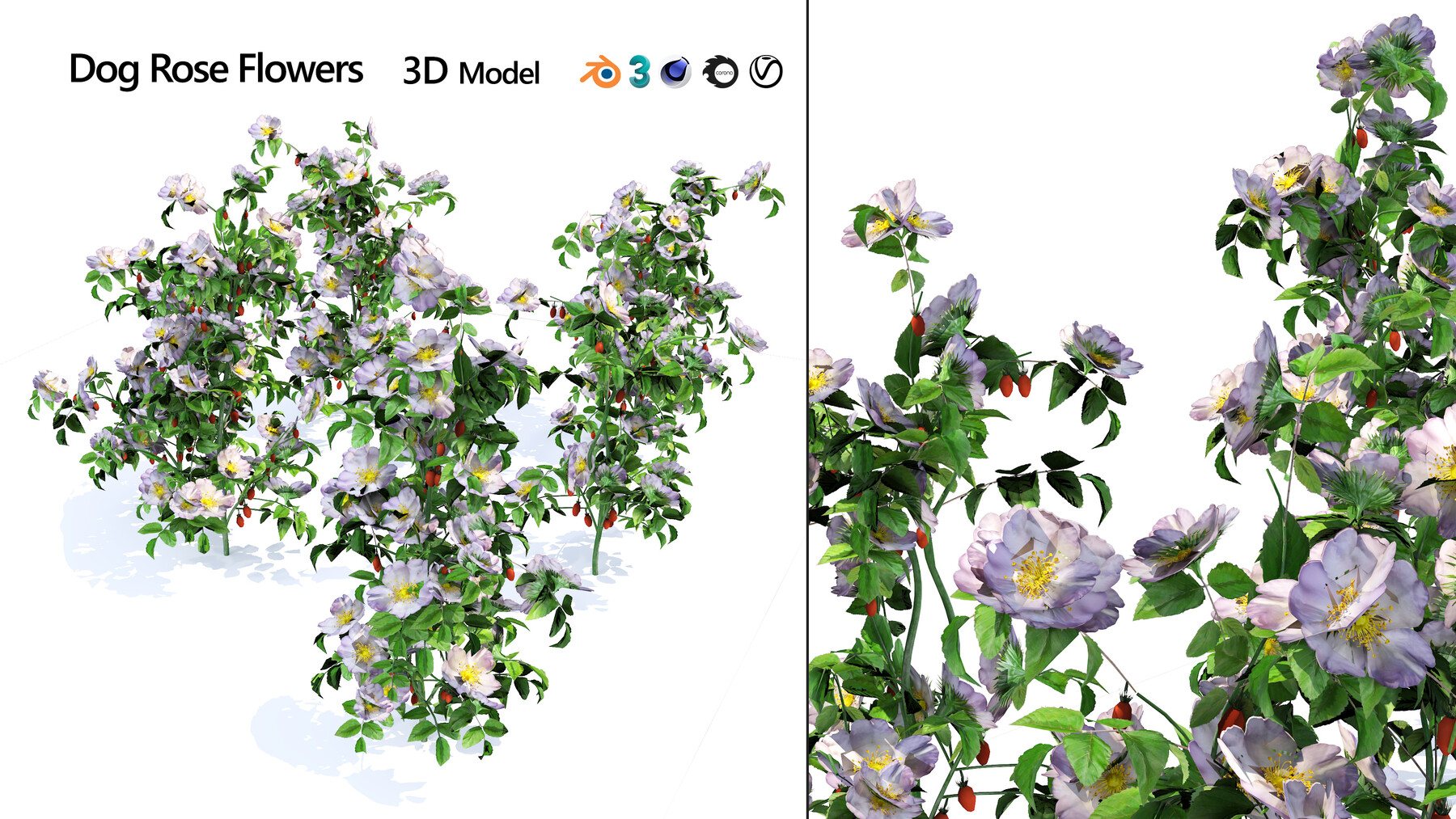 ArtStation - Dog Brier Rose Flowers | Game Assets