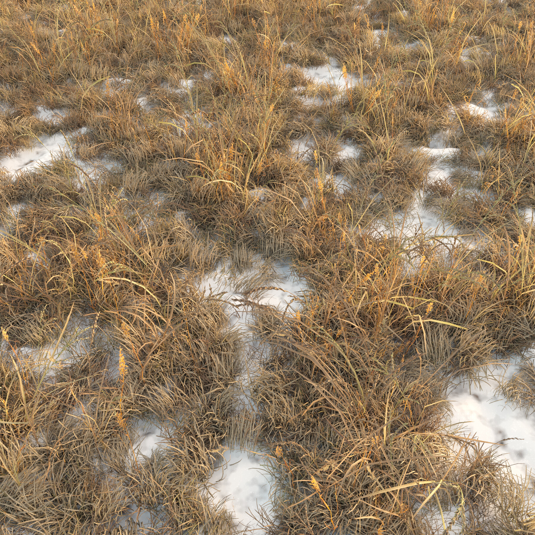 ArtStation - Dry grass (Autumn grass with snow) | Resources