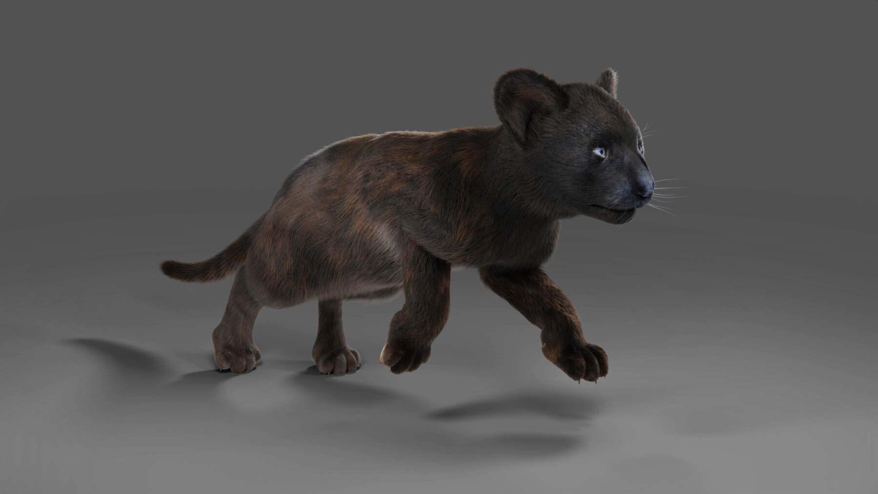 ArtStation - Fur Baby Black Panther Rigged and Animated in Unity | Game ...