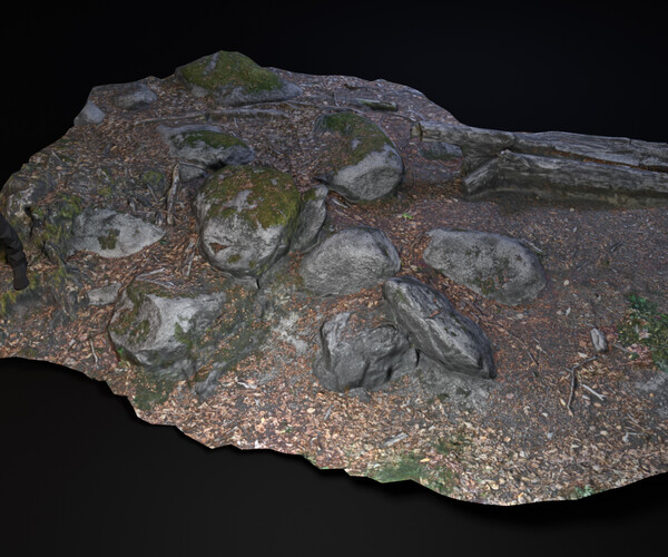 ArtStation - Beech forest ground 2 of 6 | Game Assets