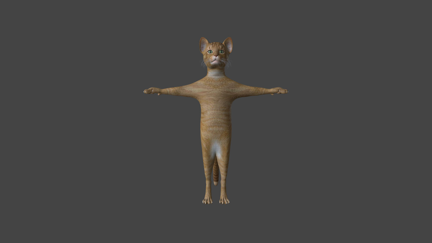 ArtStation - PUSS.001 Rigged Cat | Game Assets