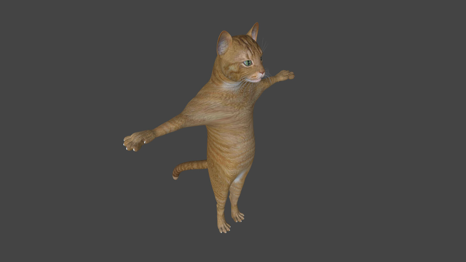 ArtStation - PUSS.001 Rigged Cat | Game Assets