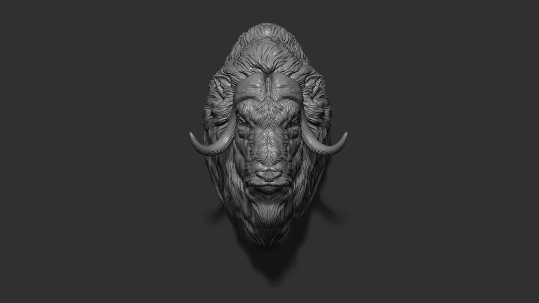 ArtStation - Musk ox head bust | Resources