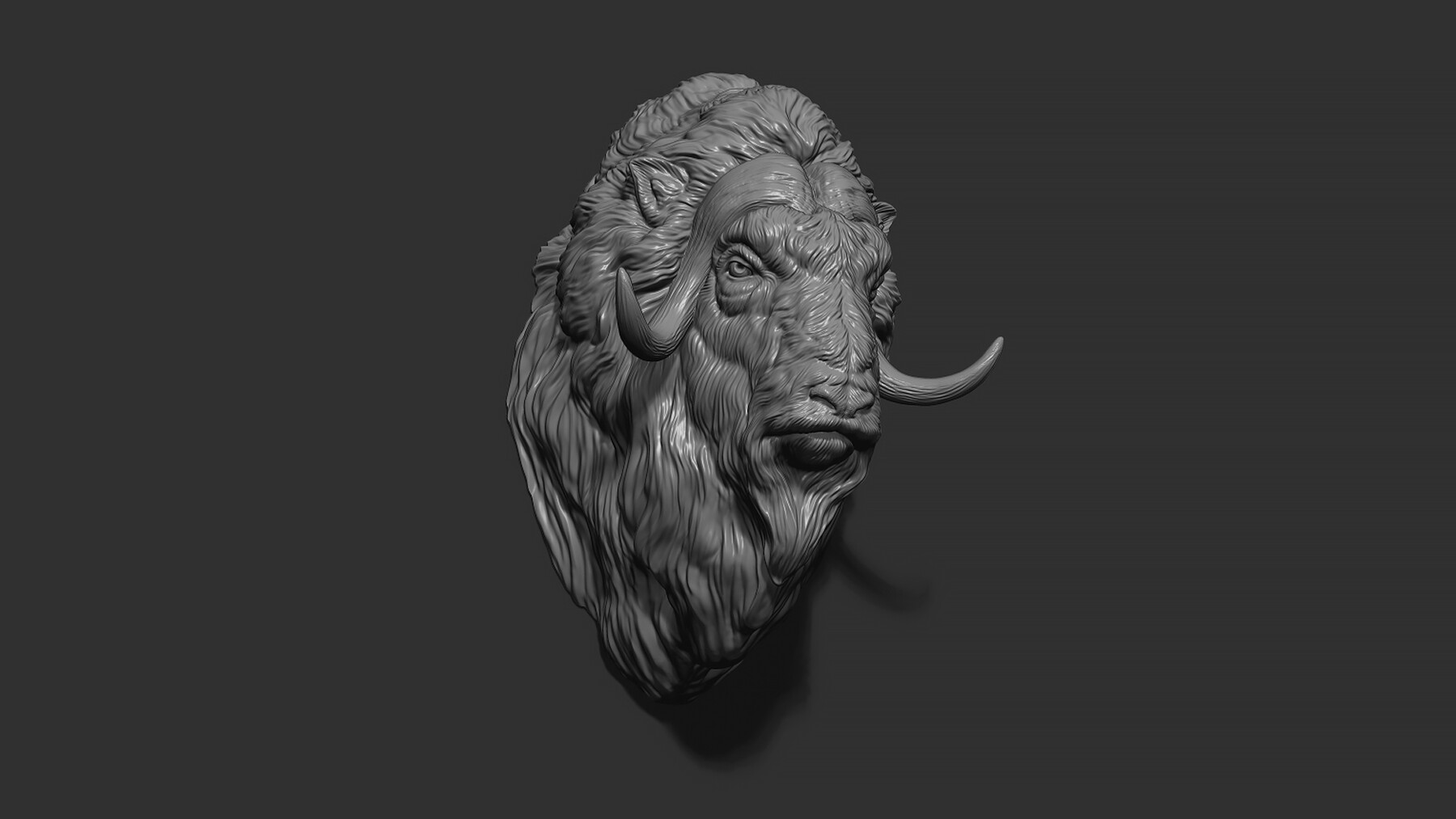 ArtStation - Musk ox head bust | Resources