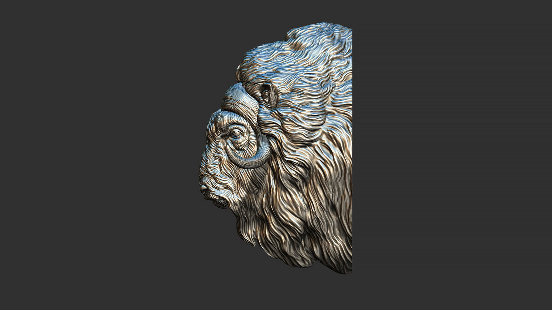 ArtStation - Musk ox head bust | Resources