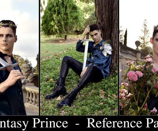 ArtStation - x330 Fantasy Prince - Stock Model Pose Reference Pack ...