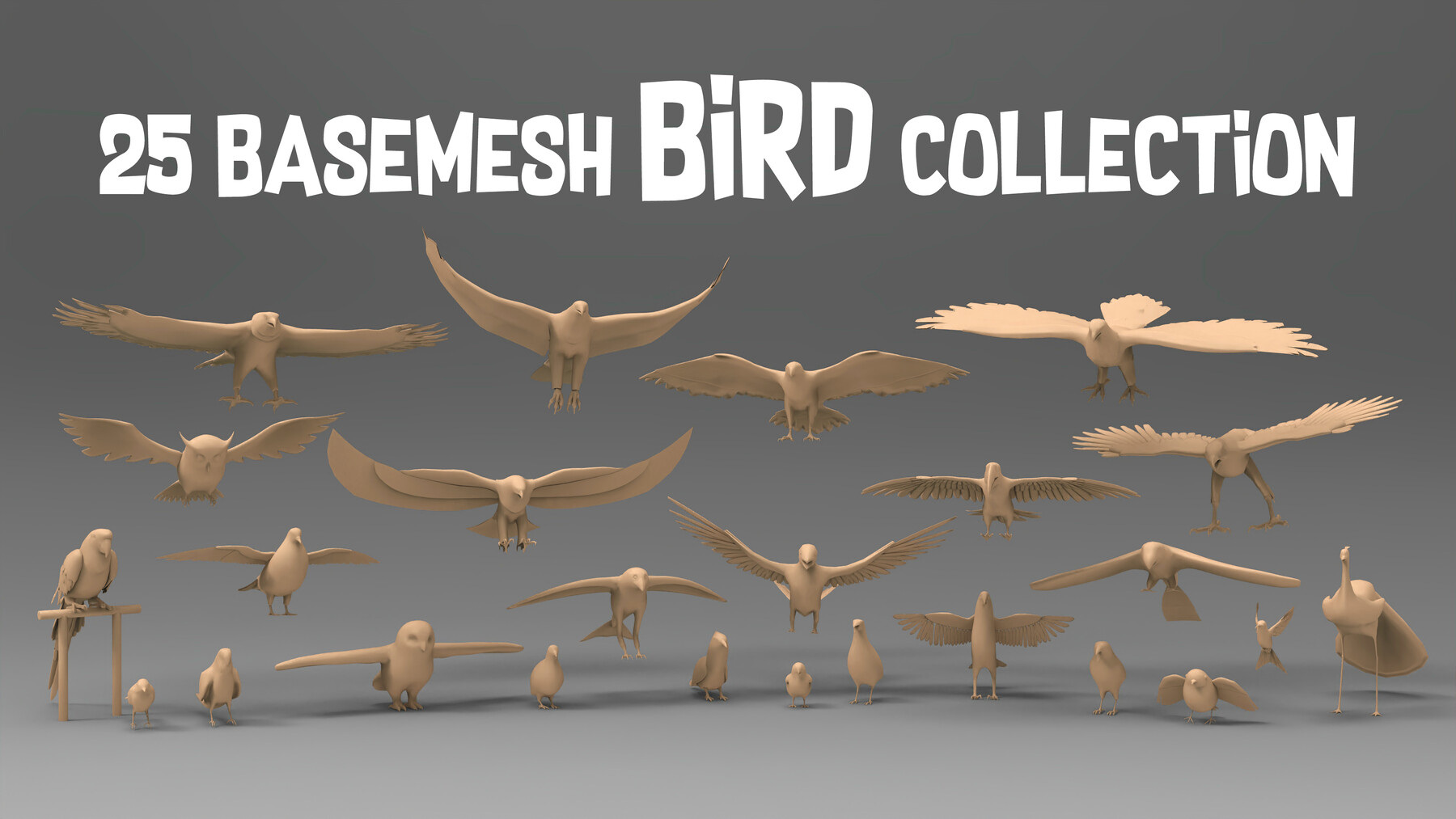 ArtStation - 25 Basemesh bird collection | Resources