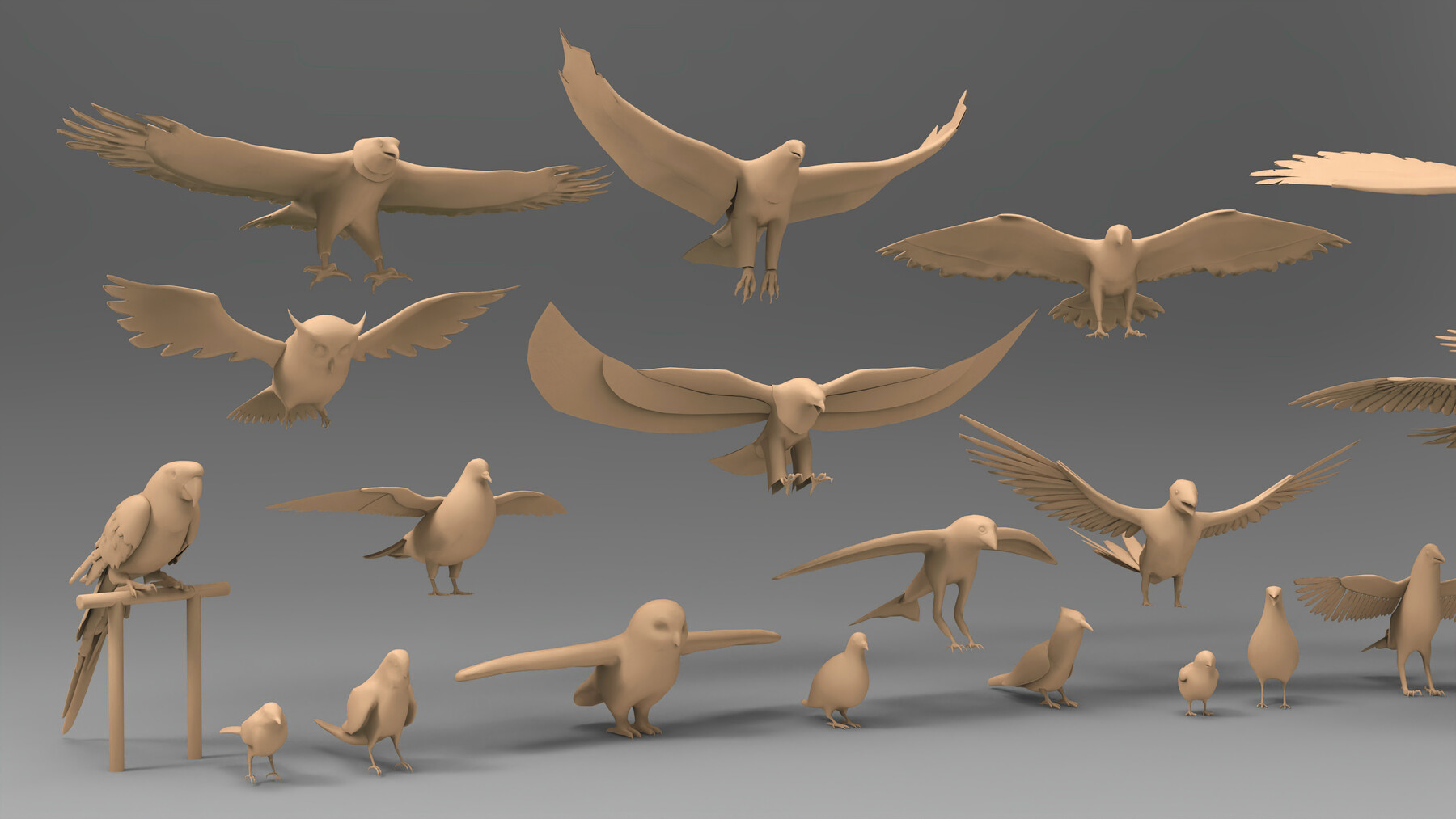ArtStation - 25 Basemesh bird collection | Resources