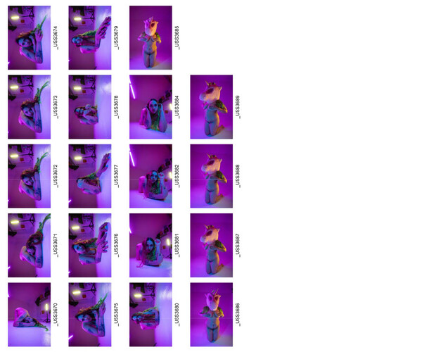 ArtStation - 710+ Female Plus Size Anatomy Reference Images | Resources