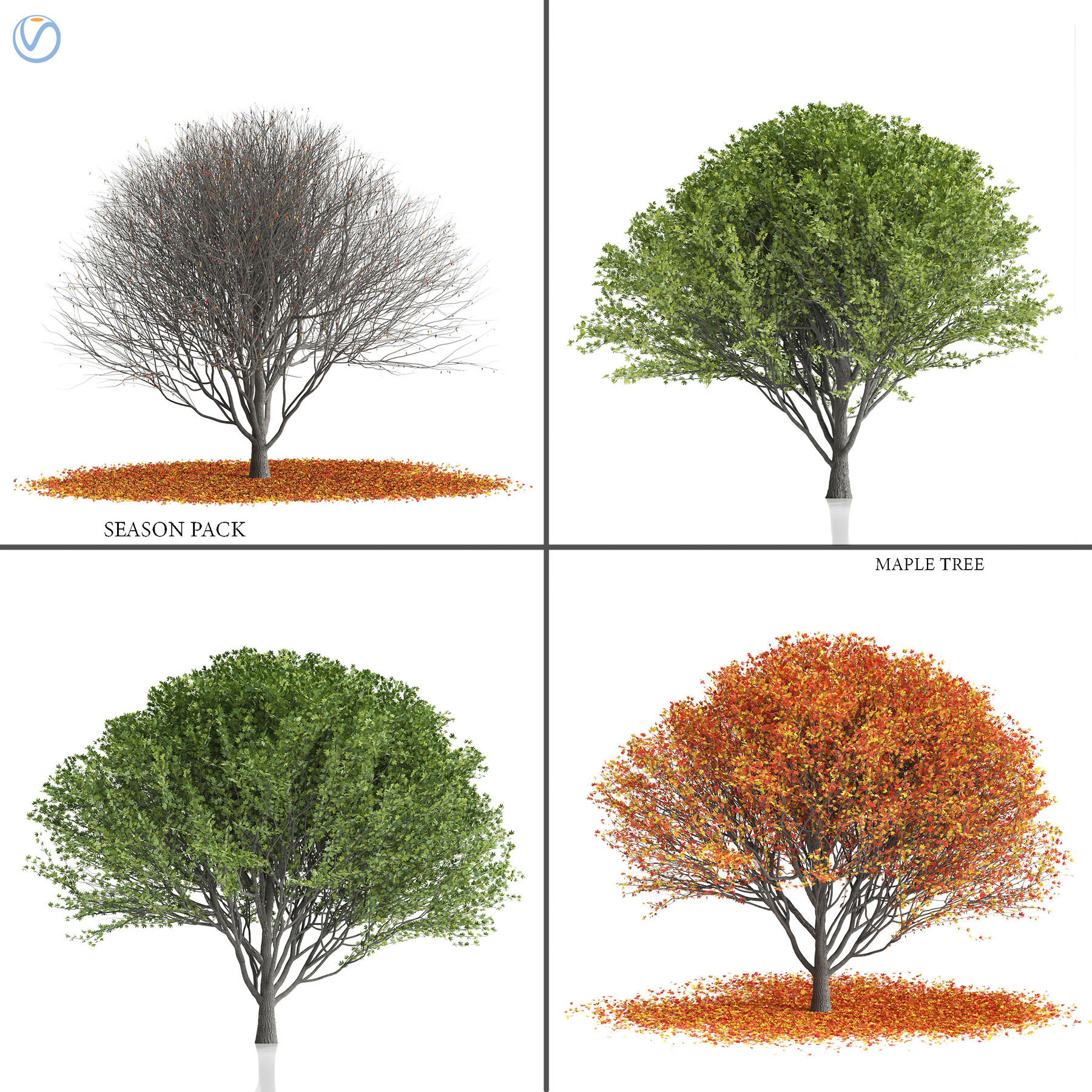 ArtStation - Maple Tree | Resources