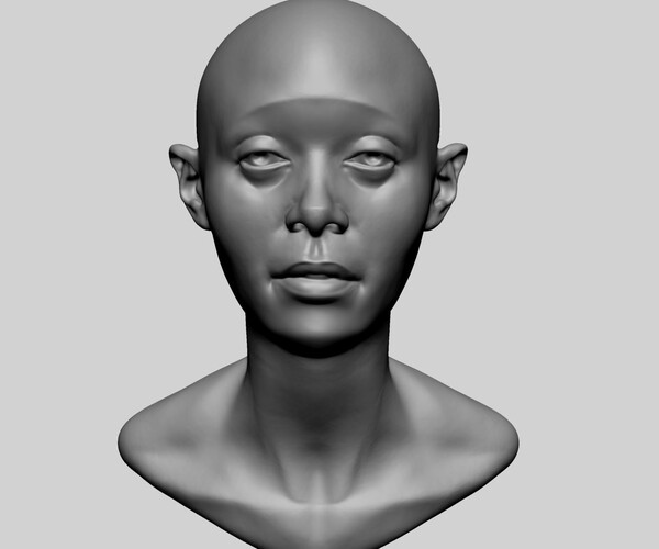 ArtStation - Base Female Head D | Resources