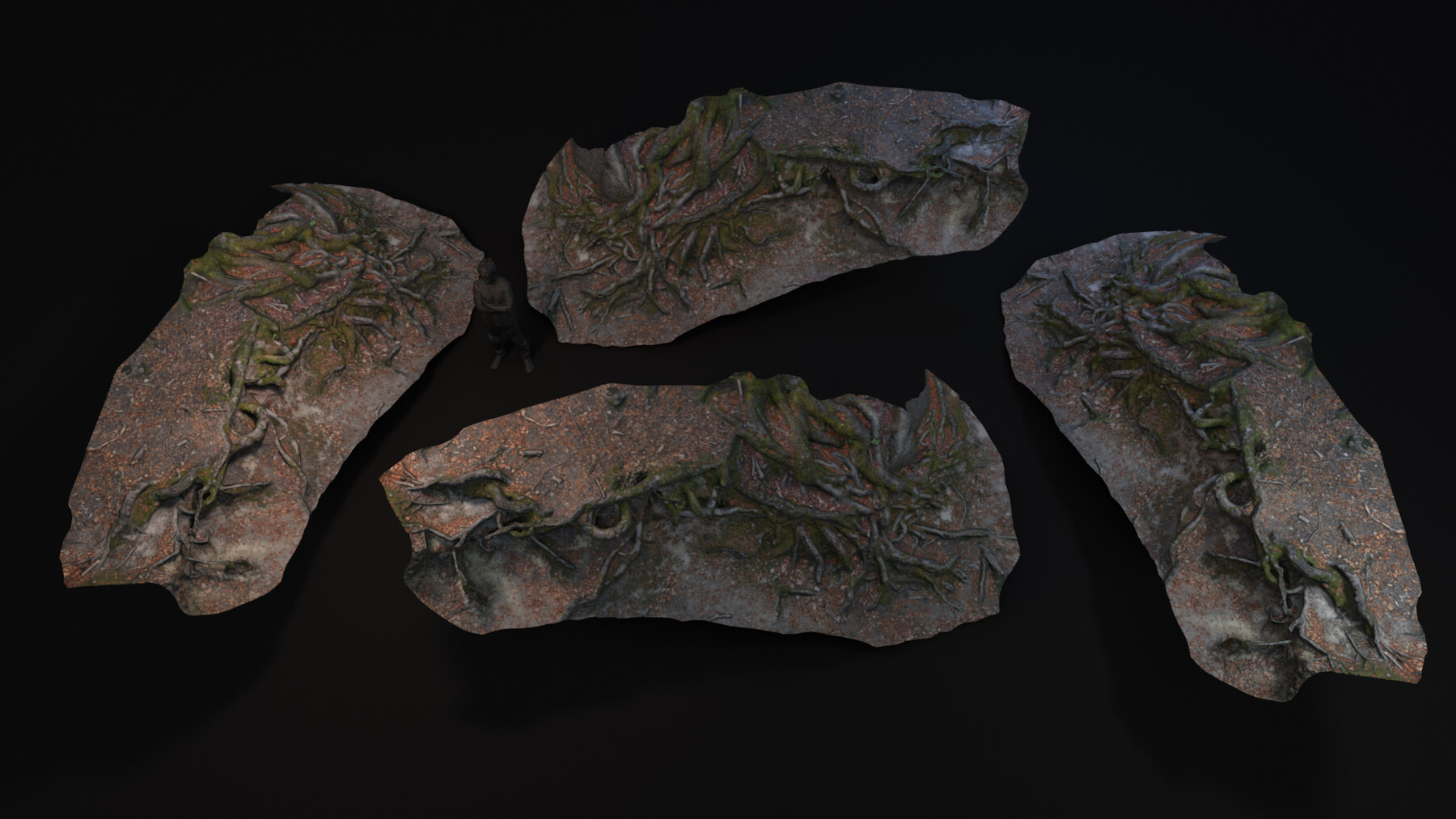ArtStation - Beech forest ground 5 of 6 | Game Assets