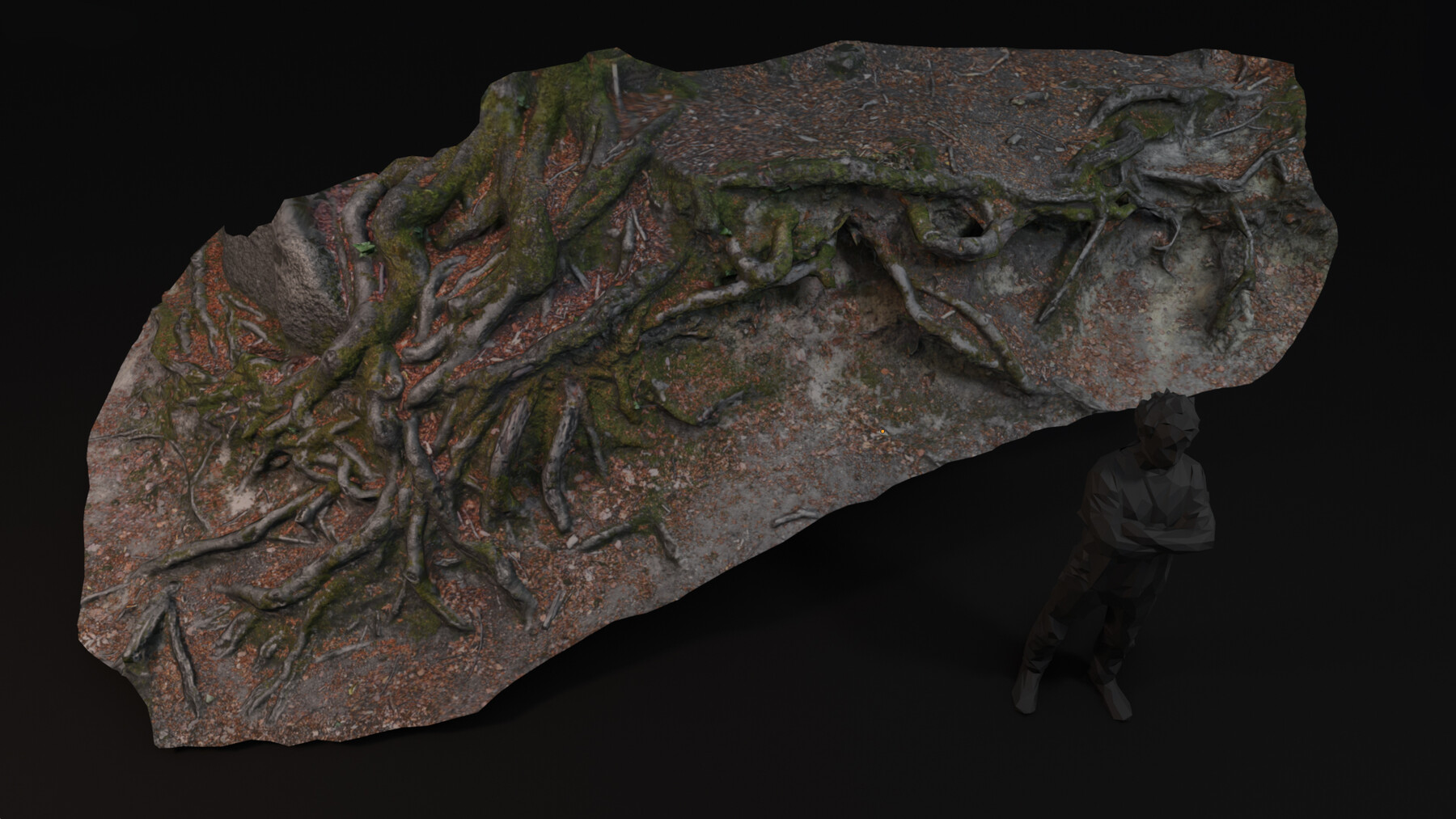 ArtStation - Beech forest ground 5 of 6 | Game Assets