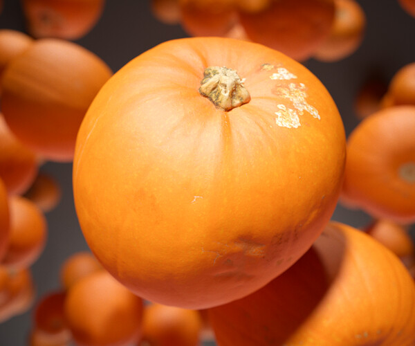 ArtStation - Orange standard pumpkin (version 2) - 595ac223 - JurandM ...