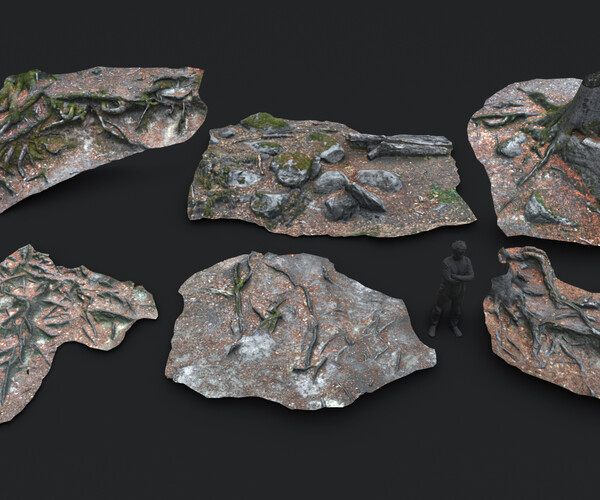 ArtStation - Beech forest ground roots - PBR Game ready scan bake | Game Assets