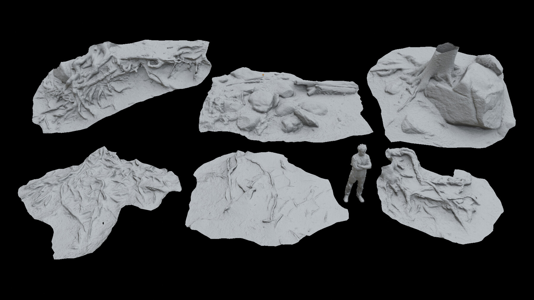 ArtStation - Beech forest ground roots - PBR Game ready scan bake | Game Assets