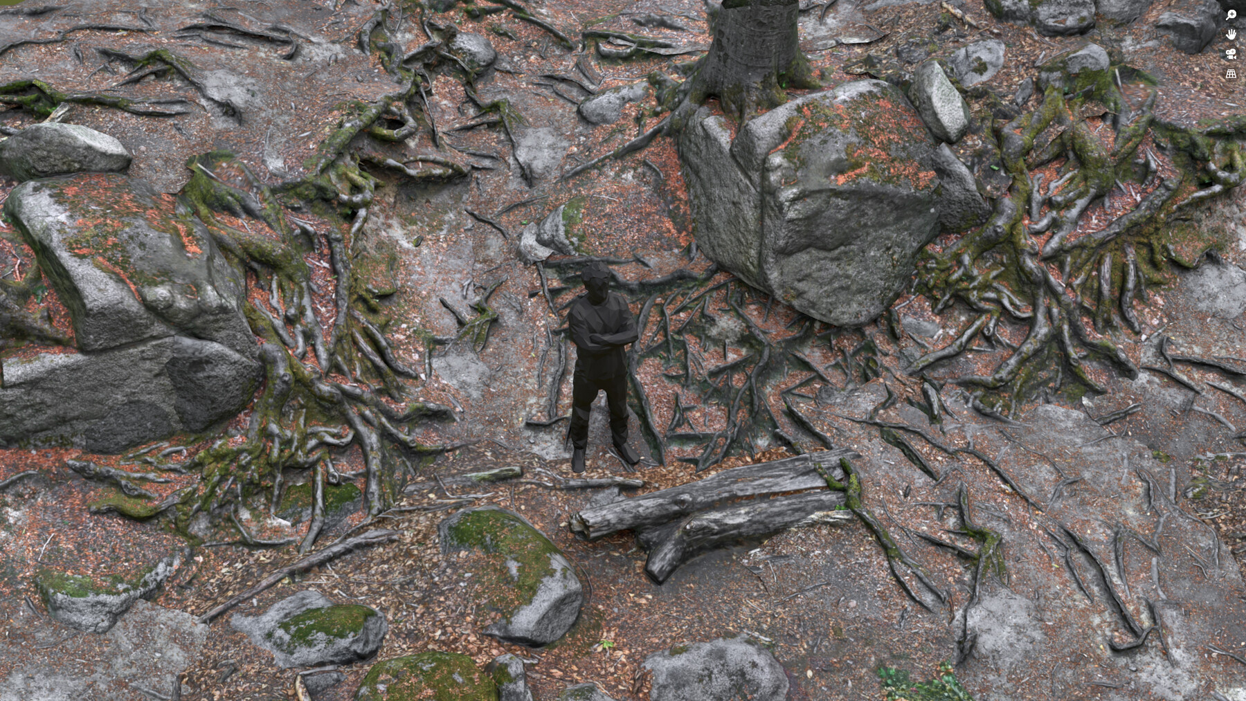 ArtStation - Beech forest ground roots - PBR Game ready scan bake | Game Assets