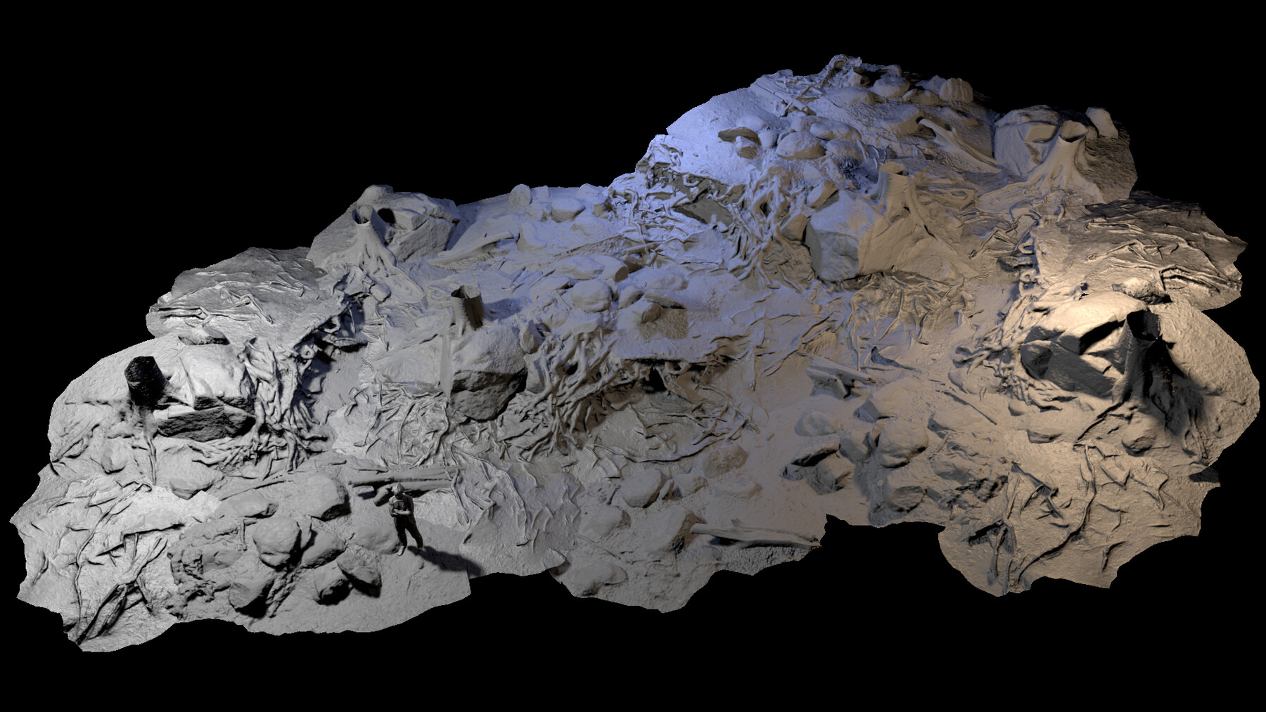 ArtStation - Beech forest ground roots - PBR Game ready scan bake | Game Assets