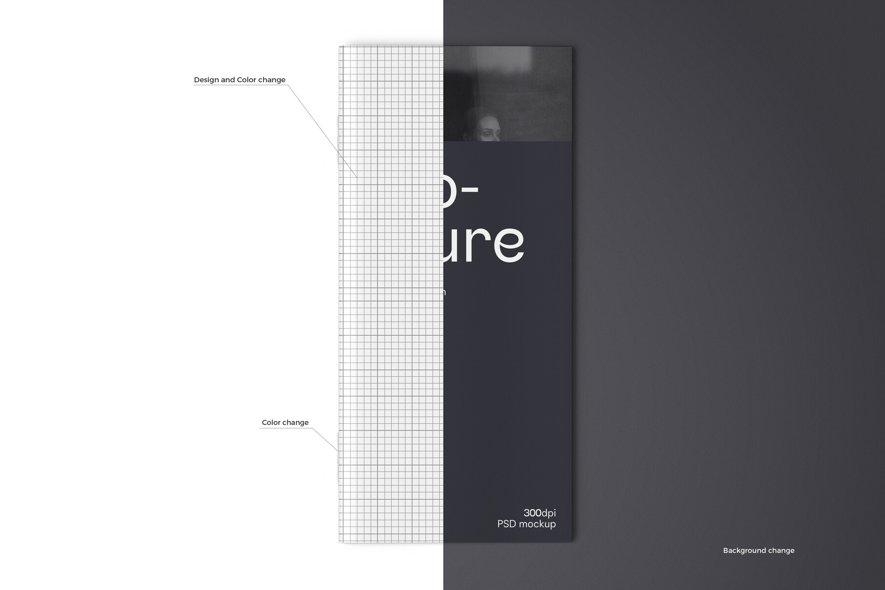 ArtStation - DL Vertical Brochure Mockup | Artworks
