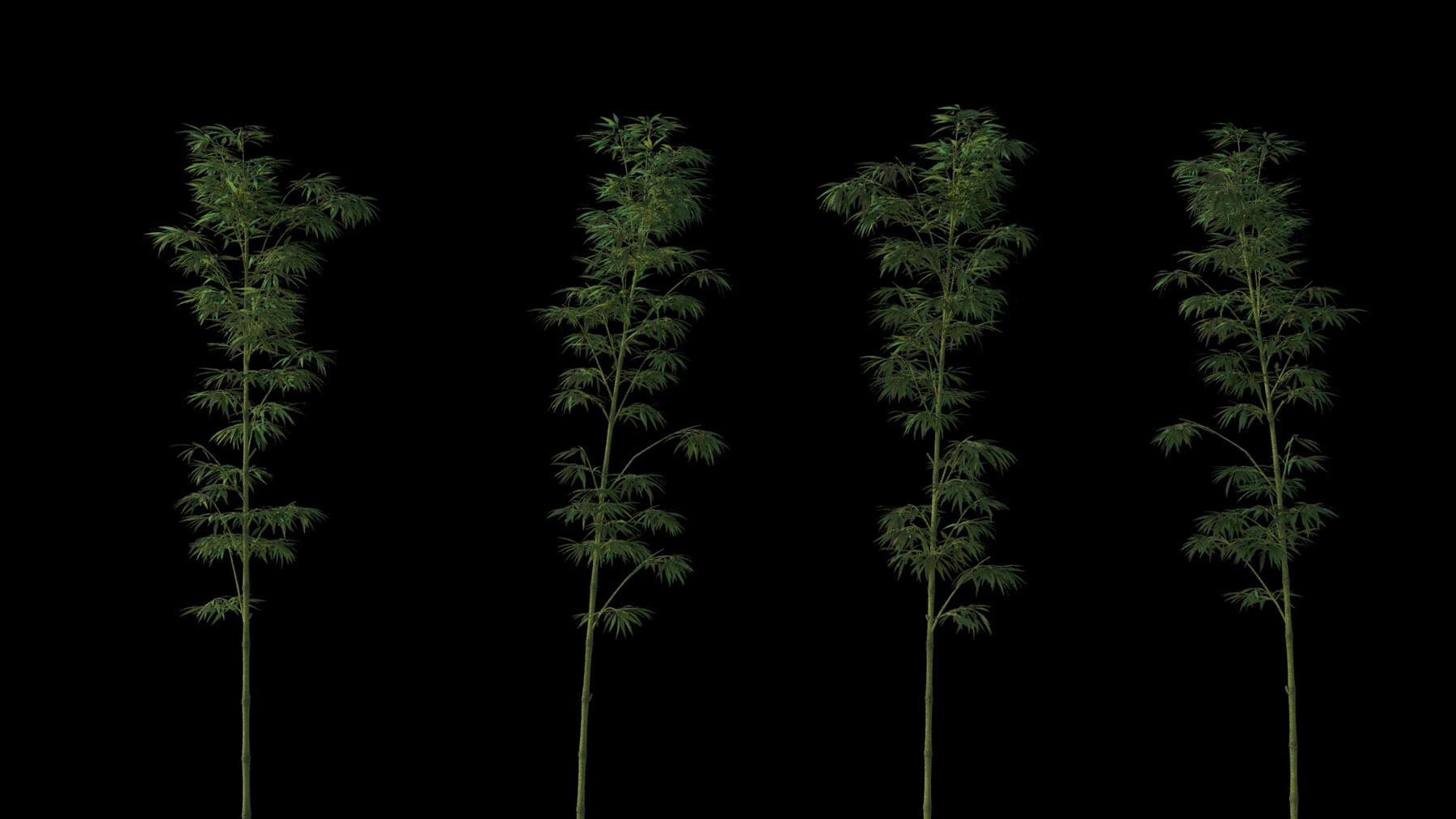 ArtStation - Bamboo forest with wind animation | Resources