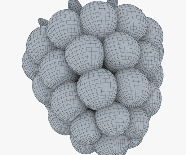 ArtStation - Cartoon Raspberry v 1 | Resources