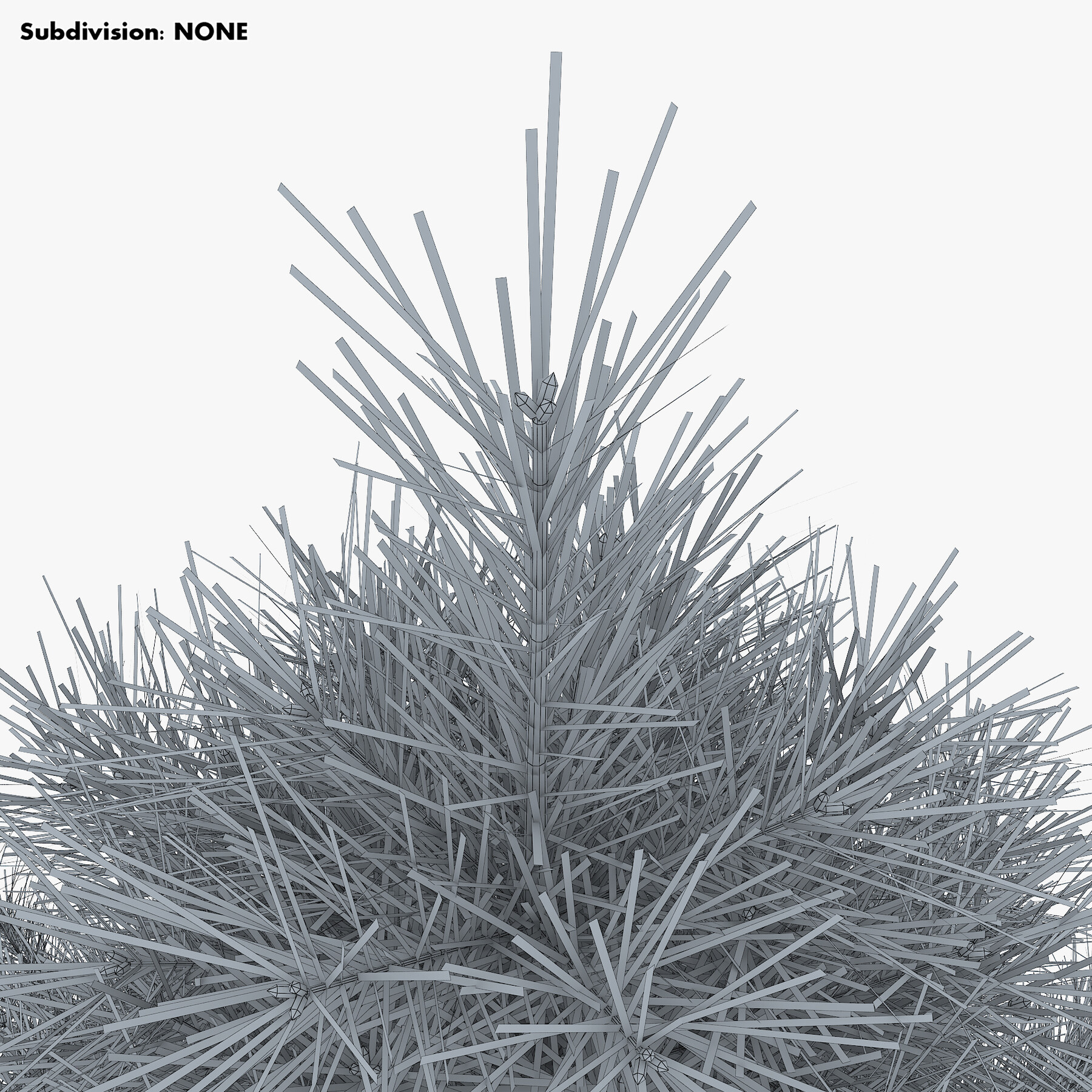ArtStation - Conifer Tree 150cm v 1 | Resources