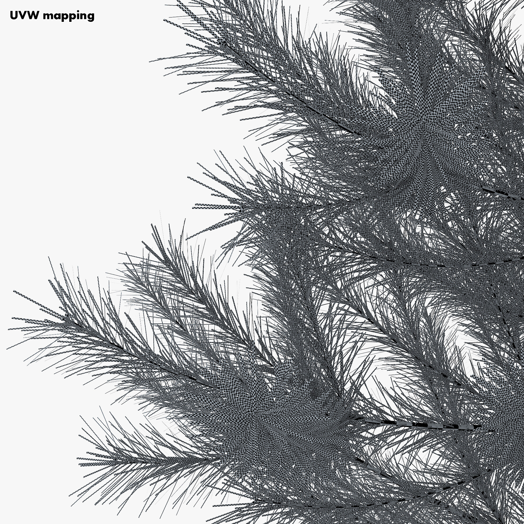 ArtStation - Conifer Tree 150cm v 1 | Resources