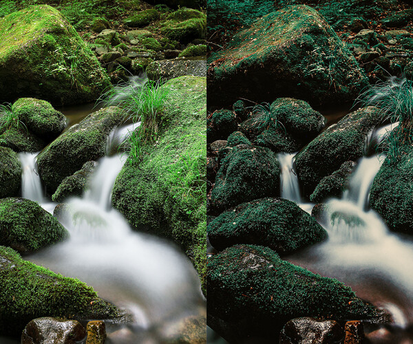 ArtStation - 14 Moss Green LUTs and Lightroom Presets | Artworks