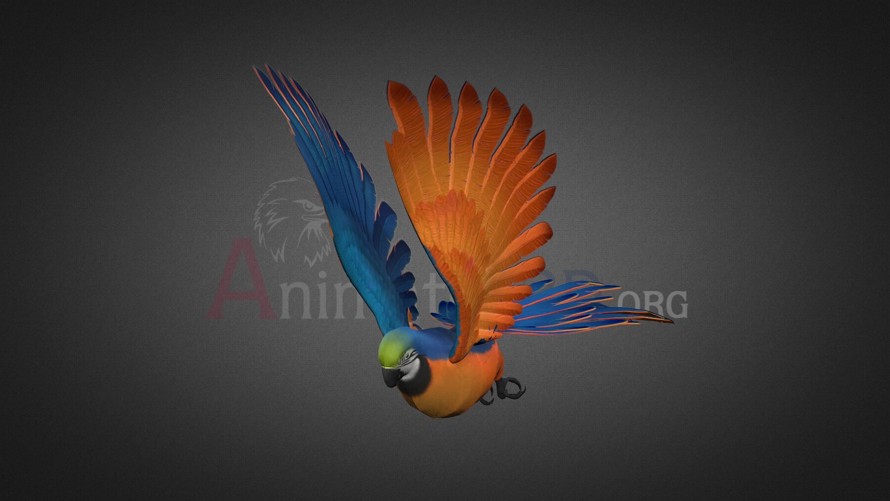 ArtStation - Parrot-1-Fly | Game Assets