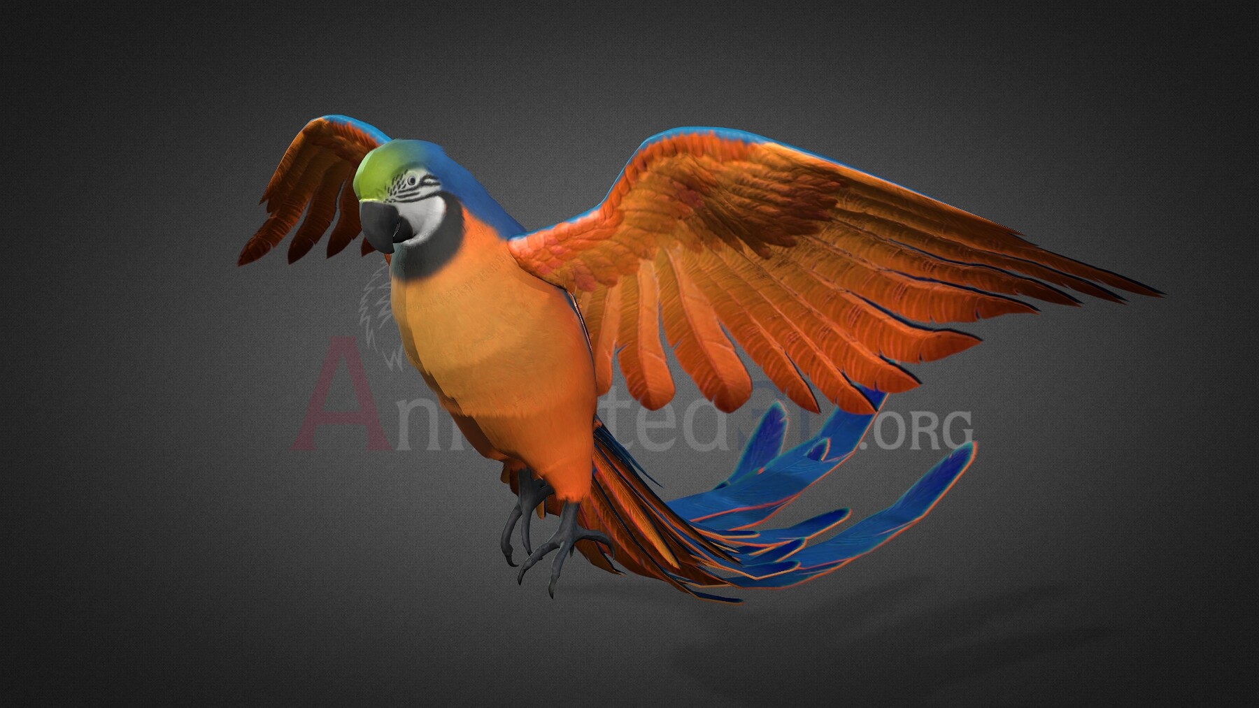 ArtStation - Parrot-1-FlyPauseWalk | Game Assets